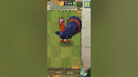 Пим пам пум Youtube