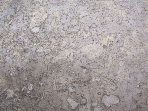 Grunge Texture Free Photo Download FreeImages