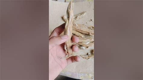 اوریجنل اور خالص ریگ ماہی Youtube