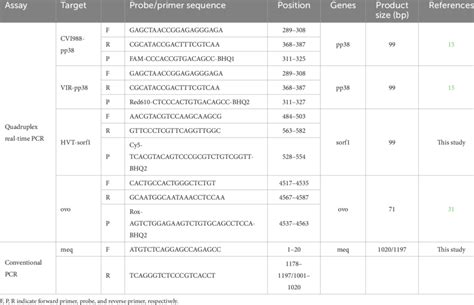 Primer And Probe Sequences Of Quadruplex Real Time Pcr Assay And Pcrs
