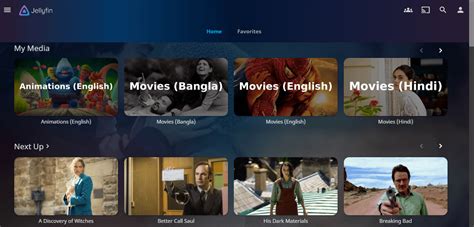 Jellyfin Custom Css Rjellyfin