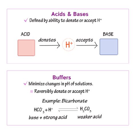 What Is An Acid Base Buffer System At Anthony James Blog