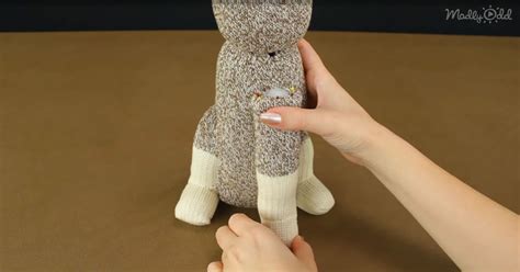 DIY Sock Cat Is Purrrrfectly Sweet And Looking For You To Make Him VIDEO Madly Odd