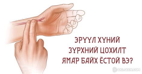 Эрүүл хүний зүрхний цохилт ийм байдаг Та зүрхээ эрүүл байгаа эсэхийг мэдмээр байгаа бол хариулт