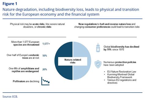 Eva Vandest On Linkedin According To This Report By The European
