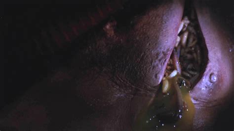 A Nightmare On Elm Street Behind The Scenes Nightmare On Elm Street Companion Ultimate