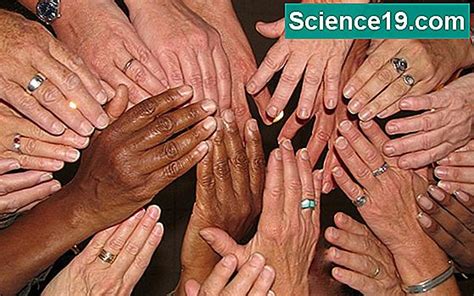 Hogyan Lehet Megismerni A Függőleges Aszimptotikum és A Lyuk Közötti