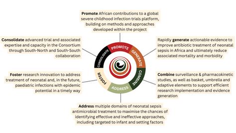 Understanding Snip Africa The Purpose And Power Of The Severe Neonatal