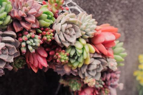 自然風景のフリー無料写真素材 ぱくたそ