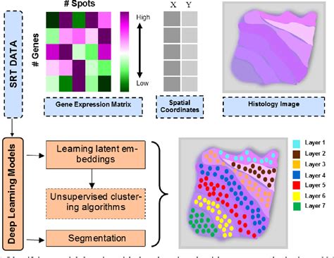 Figure 1 From Deep Learning In Spatially Resolved Transcriptomics A