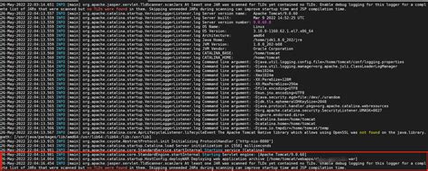 记一次tomcat卡死在 Deploying Web Application 步骤的问题 Tassdar 博客园