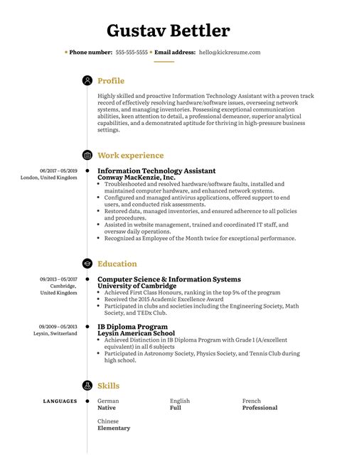 Information Technology Assistant Resume Sample Kickresume