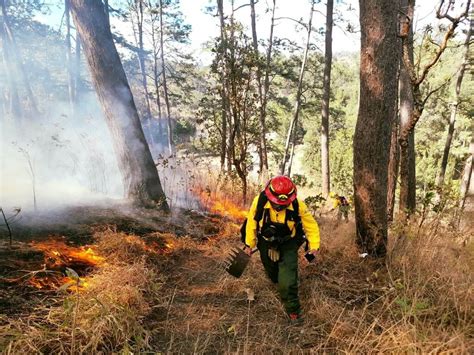 FunciÓn 17 Del Plan Nacional De Respuesta Incendios Forestales Conred