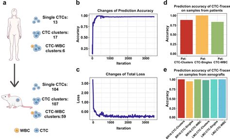 The Application Of Ctc Tracer On A Complex Dataset A Data Structure
