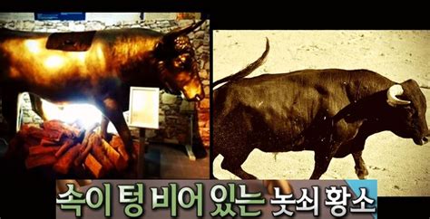 10분만에 내장까지 다 익어 기원전 6세기 발명된 인류 최악의 고문 기구 놋쇠황소 사용법 오펀 디스커스