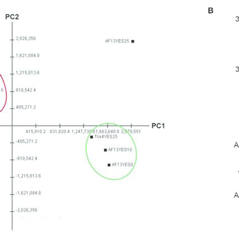 principal component analysis pca and hierarchical clustering