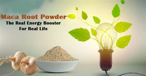 Maca Root Powder The Real Energy Booster For Real Life Rooted Active