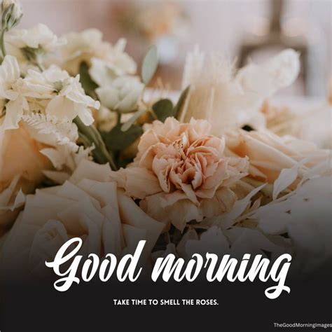 Full 4k Collection Over 999 Incredible Good Morning Images