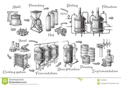 Vector Beer Infographics With Illustrations Of Brewery Process Stock