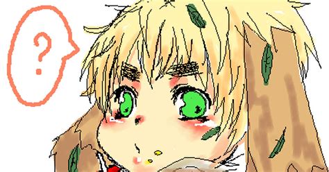 絵茶 ヘタリア絵茶ログ ひかるのマンガ ヘタリア Aph Pixiv