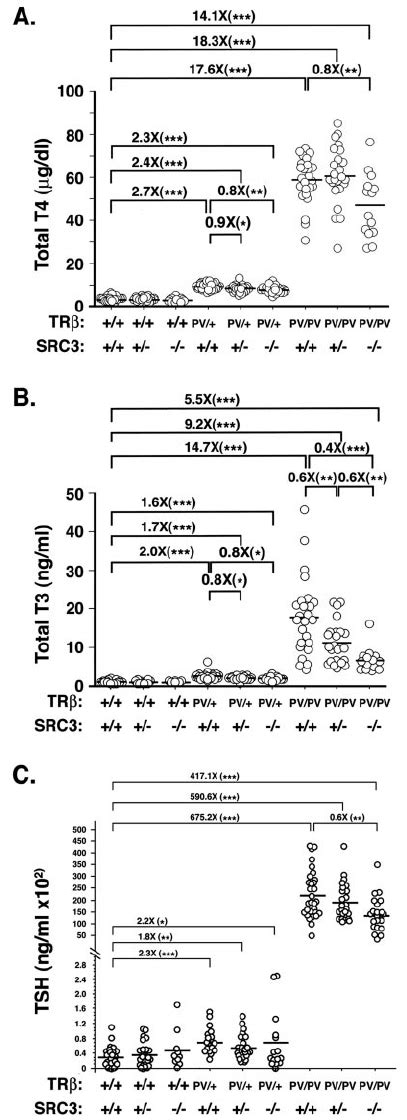 Comparison Of Thyroid Weight In Tr ␤ Pv Mice With Or Without Src 3