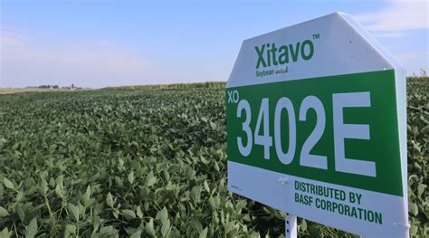 Basf Paves The Way With 14 New Enlist E3 Soybean Varieties For 2022