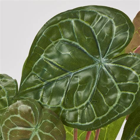 Real Touch Turtle Shell Plant Bush Spray Faux Everyday Greenery 16