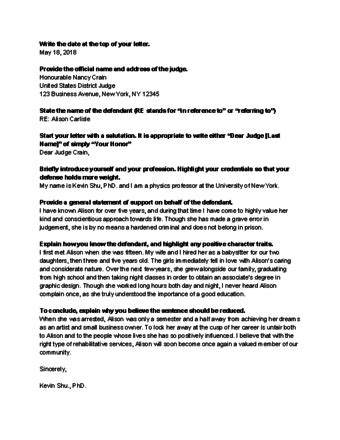 Example Of A Letter To A Judge For Leniency You Should Not Write