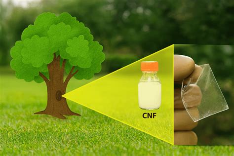 From Plants To Nanofibers A Deep Dive Into The Preparation Of Cellulose Nanofibers Nanographenex