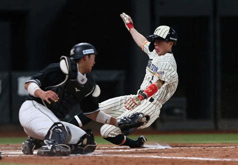 7回、清宮の右飛で生還した五十幡（撮影・高橋 茂夫） ― スポニチ Sponichi Annex 芸能