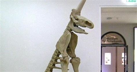 One Of The Worst Fossil Reconstructions In History Album On Imgur