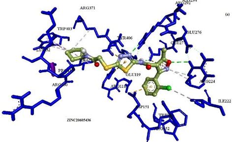 Panels A 3d B 2d Showed The Ligand Docked Conformations Of The