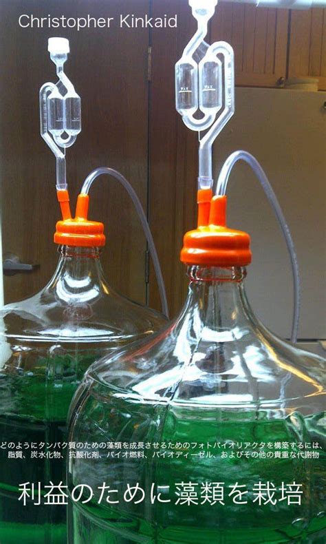 Grow Algae For Profit How To Build A Photobioreactor For