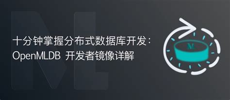 十分钟掌握分布式数据库开发：openmldb 开发者镜像详解人工智能第四范式开发者社区infoq写作社区