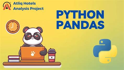 Portfolio Vineet Patyal Codebasics