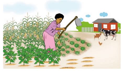 Kpsea 2022 Images Kpsea Questions And Answers Free Downloads