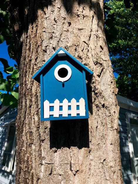 Premium Photo Bird Box