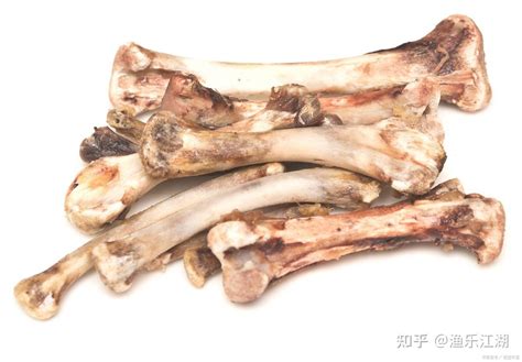 钓黄骨鱼（黄辣）的季节和垂钓方法 知乎