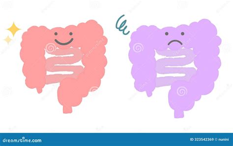 Intestines Characters Healthy And Unhealthy Comparison Human Intestine
