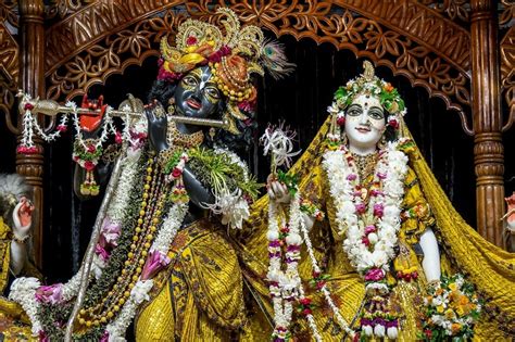 মায়াপুরে ইসকন মন্দিরে মহাসমারোহে পালিত হচ্ছে রাধাষ্টমী উৎসব News18 বাংলা