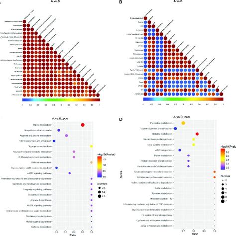 Visualization Of Dems A And B Correlation Analysis Of Dems When The
