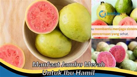 Banyak Yang Belum Tau Ini Dia 8 Manfaat Jambu Merah Yang Wajib