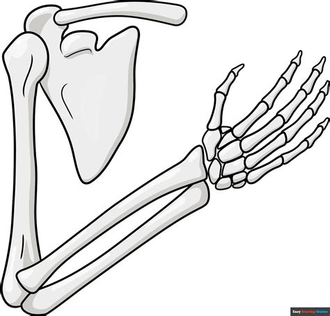 How To Draw A Skeleton Arm Really Easy Drawing Tutorial
