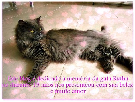 Blog Da Pink E Do Barum Não Ser Amado é Falta De Sorte Mas Não Amar