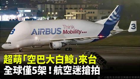 全球僅5架！超萌「空巴大白鯨」來台 航空迷搶拍