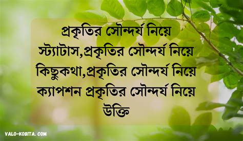 ১৩৩৪ প্রকৃতির সৌন্দর্য নিয়ে উক্তি বাছাই করা ফেসবুকের সেরা প্রকৃতির সৌন্দর্য নিয়ে উক্তি