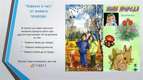 ОСНОВНИ ОРГАНИ В ЧОВЕШКОТО ТЯЛО 3 КЛАС Pptx