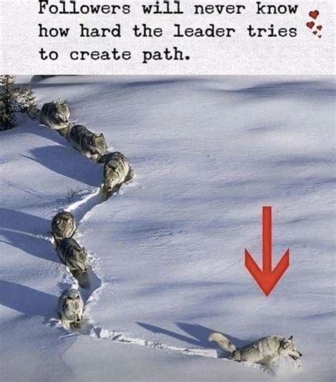 Rohit T ⭐ On Linkedin Leader