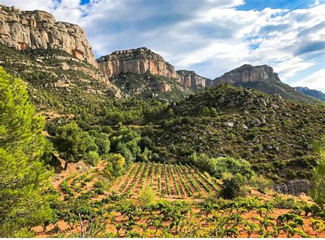 Priorat: Wine Travel — THE ROAD TO WINE