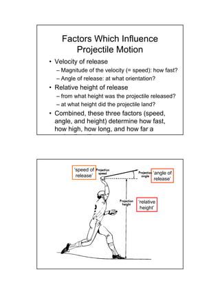 Projectile Motion PDF